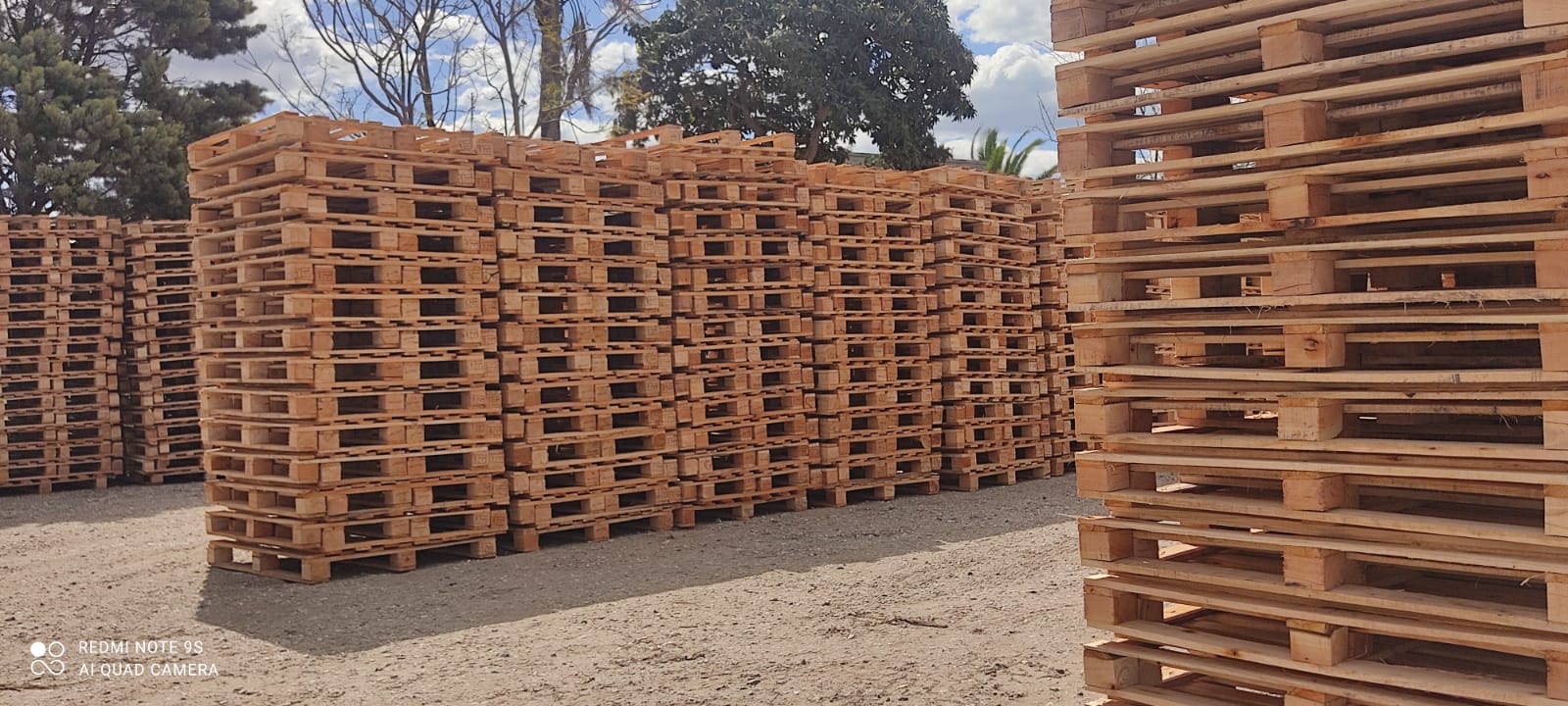 Servipallet Ramallo - Descubri Ramallo