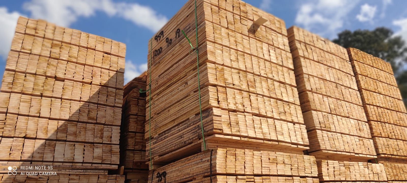 Servipallet Ramallo - Descubri Ramallo